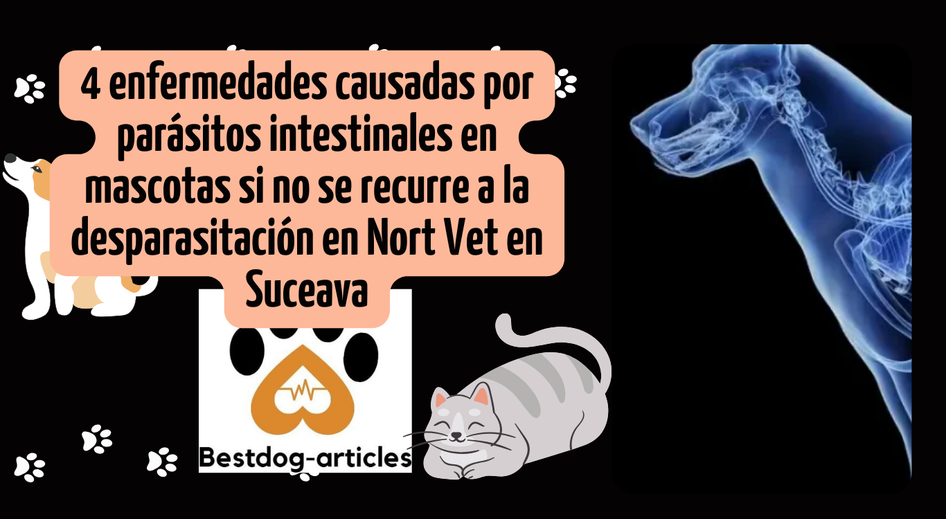 4 enfermedades causadas por parásitos intestinales en mascotas